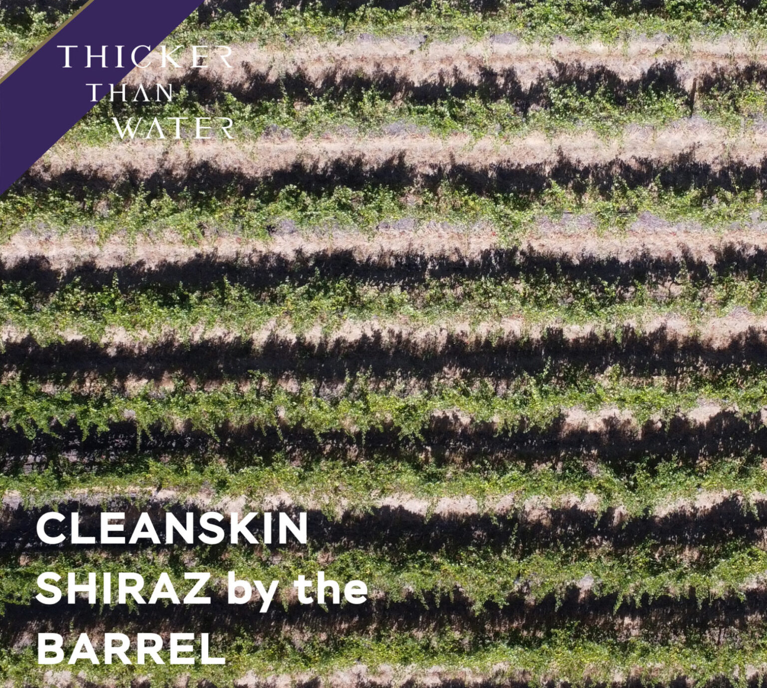 Thicker Than Water Wines | Award Winning Wines from the Heart of ...